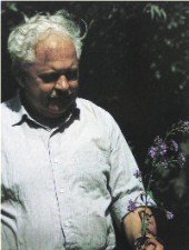 Lindenmayer System in MSWLogo